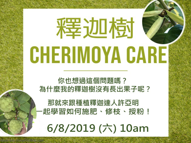 Care Tips for Cherimoyas – Little Parrot Farm